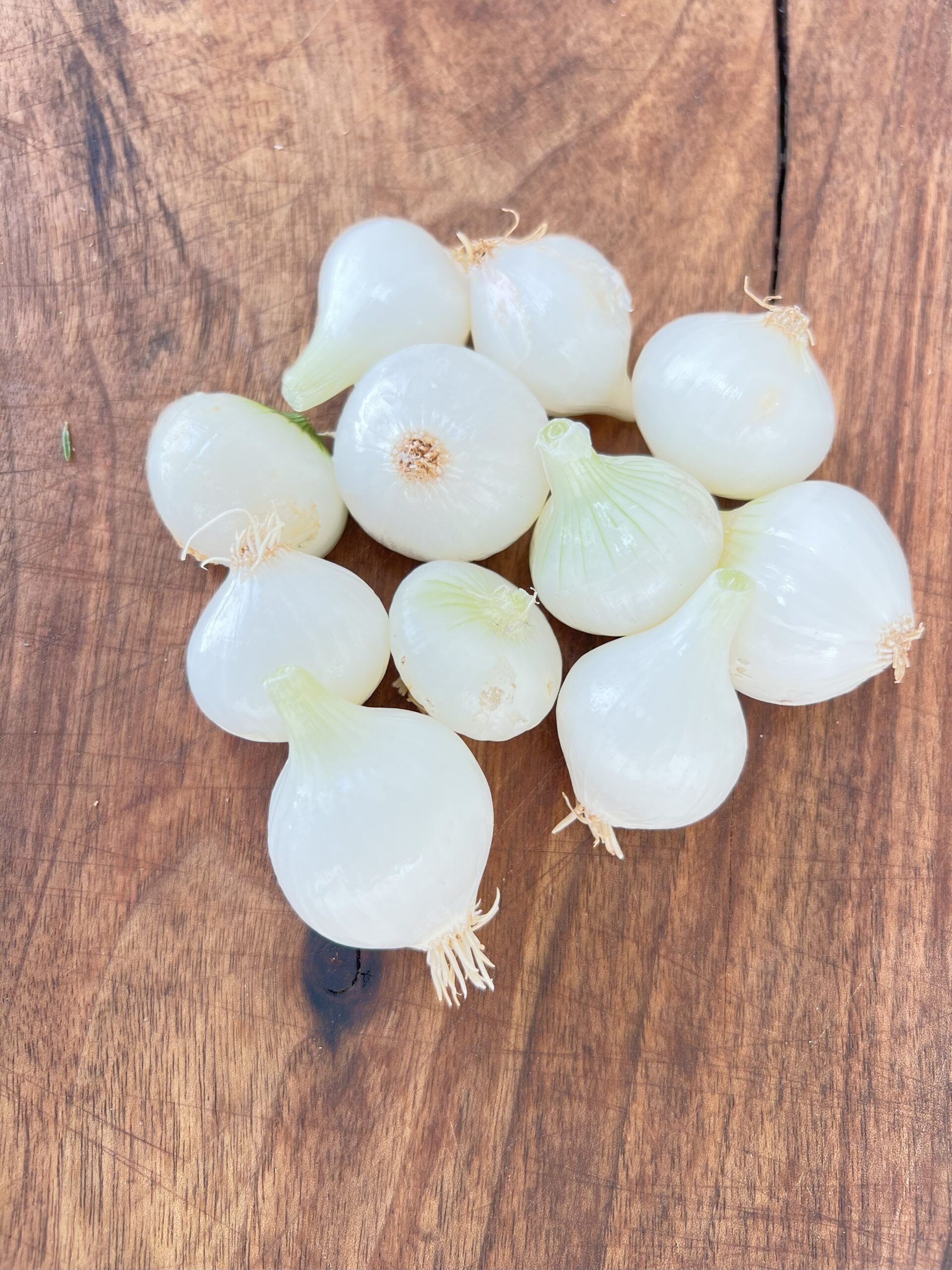 Ceapa alba baby - AmzoKulinar